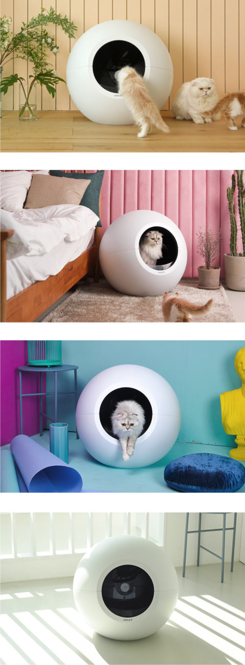 Circle Zero - Popcorn Gadget - The Latest Tech Trends