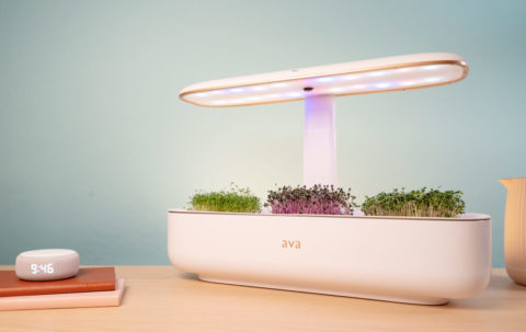 AVA — Smart Indoor Microgreen Garden
