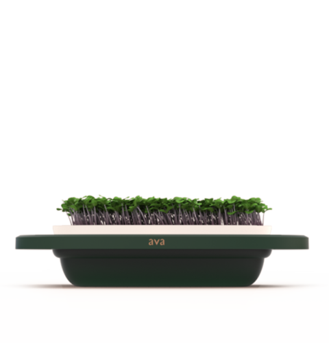 AVA — Smart Indoor Microgreen Garden